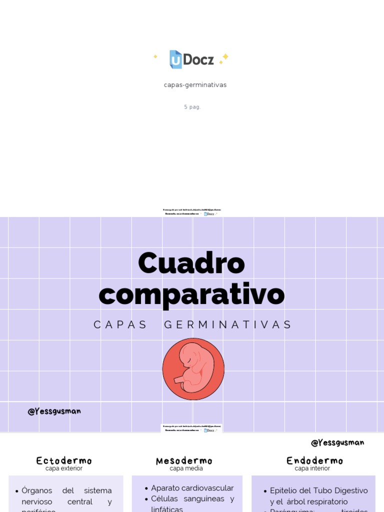 Capas Germinativas 219094 Downloable 1081602 | PDF | Epitelio | Sistema ...