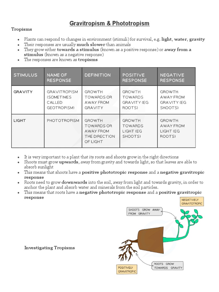 Understanding Plant Tropisms: An Exploration of Gravitropism ...