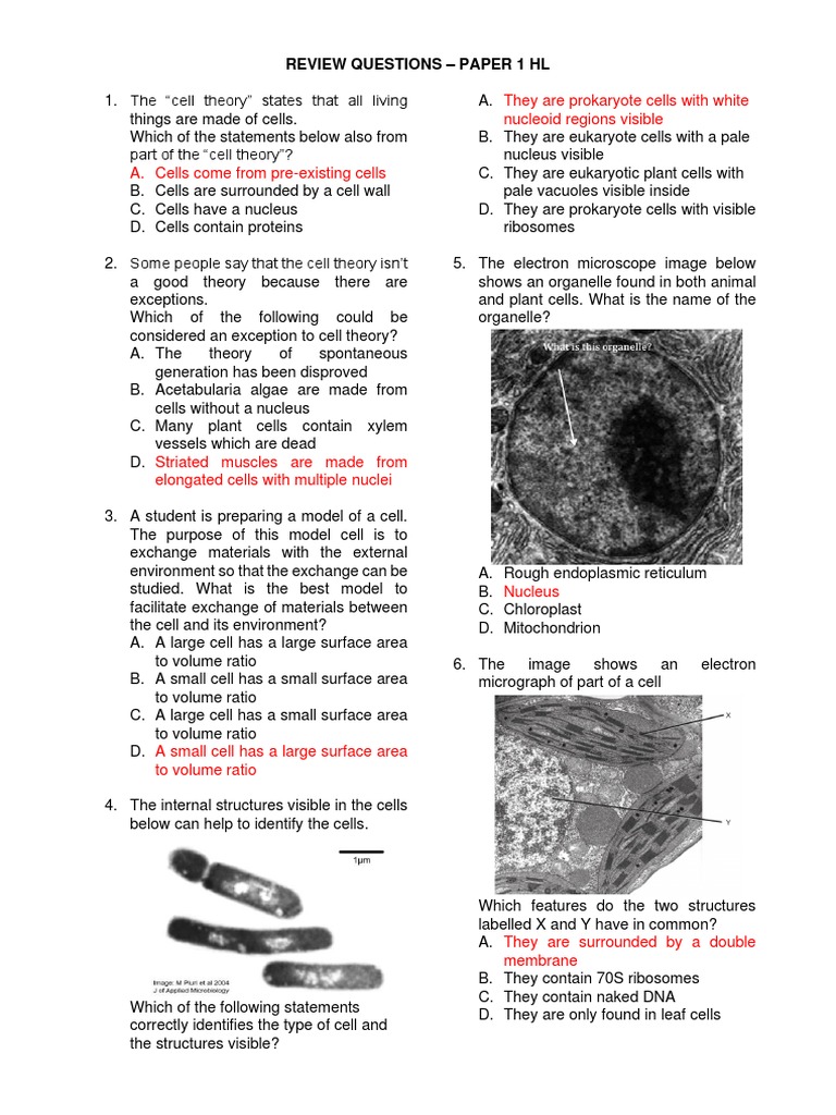 Review Paper 1 + MS | PDF | Cell (Biology) | Cell Membrane
