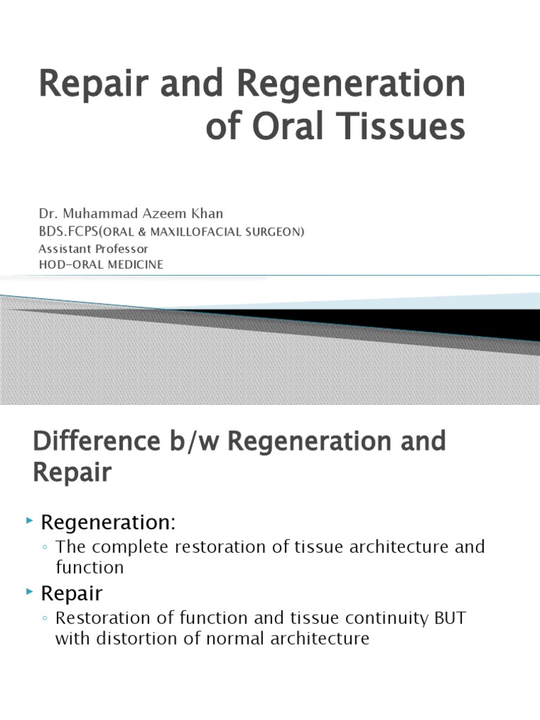 Repair vs. Regeneration in Oral Tissues | PDF | Dentin | Tooth Enamel