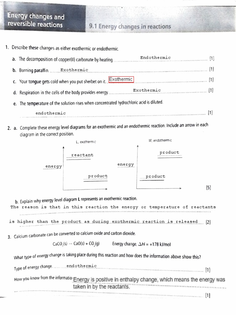 Worksheet On IGCSE Chemical Energetics | PDF | Chemical Reactions | Chemistry