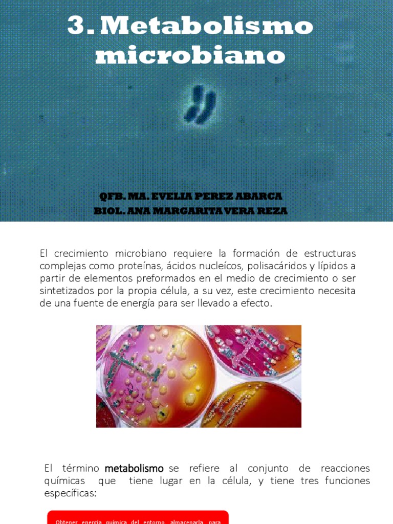 Tema+3 +metabolismo+microbiano | PDF | Respiración celular | Metabolismo