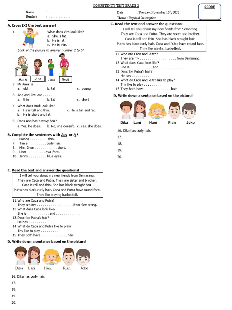Grade 2 Physical Description Test | PDF | Home & Garden