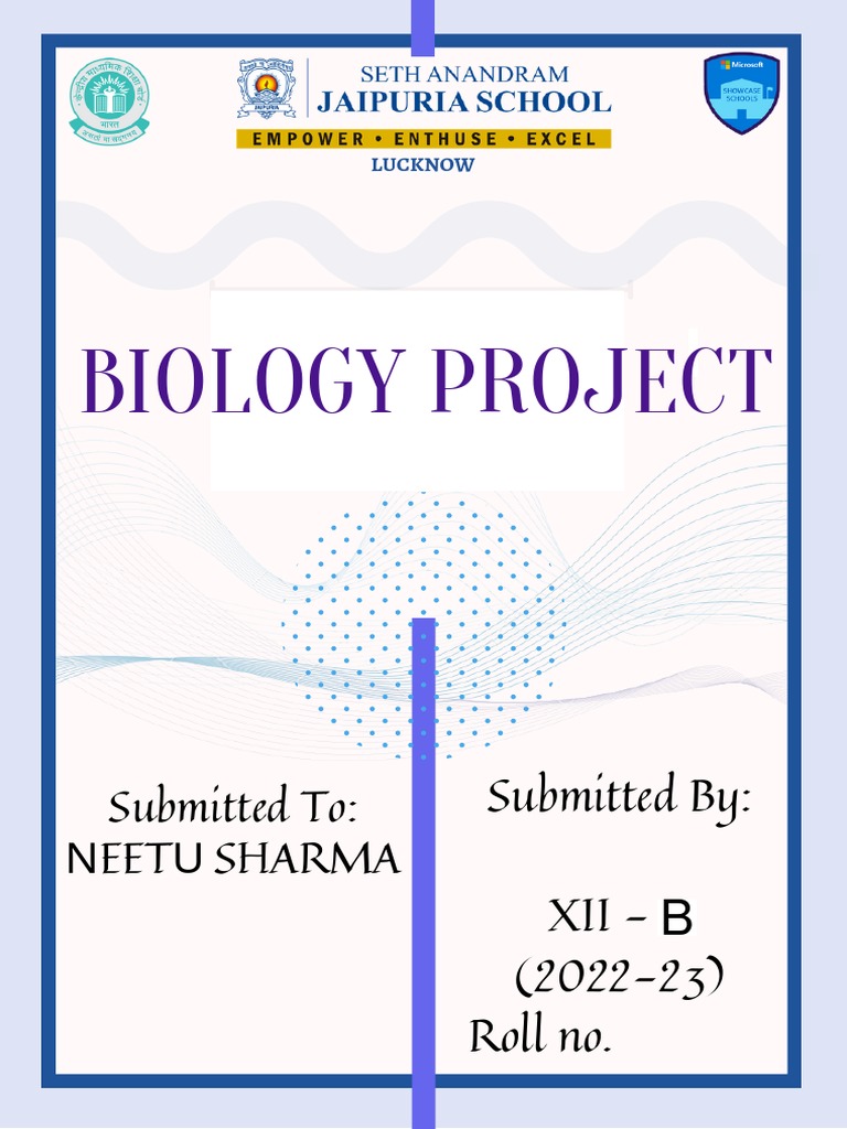 Physics Summer Project Edit | PDF
