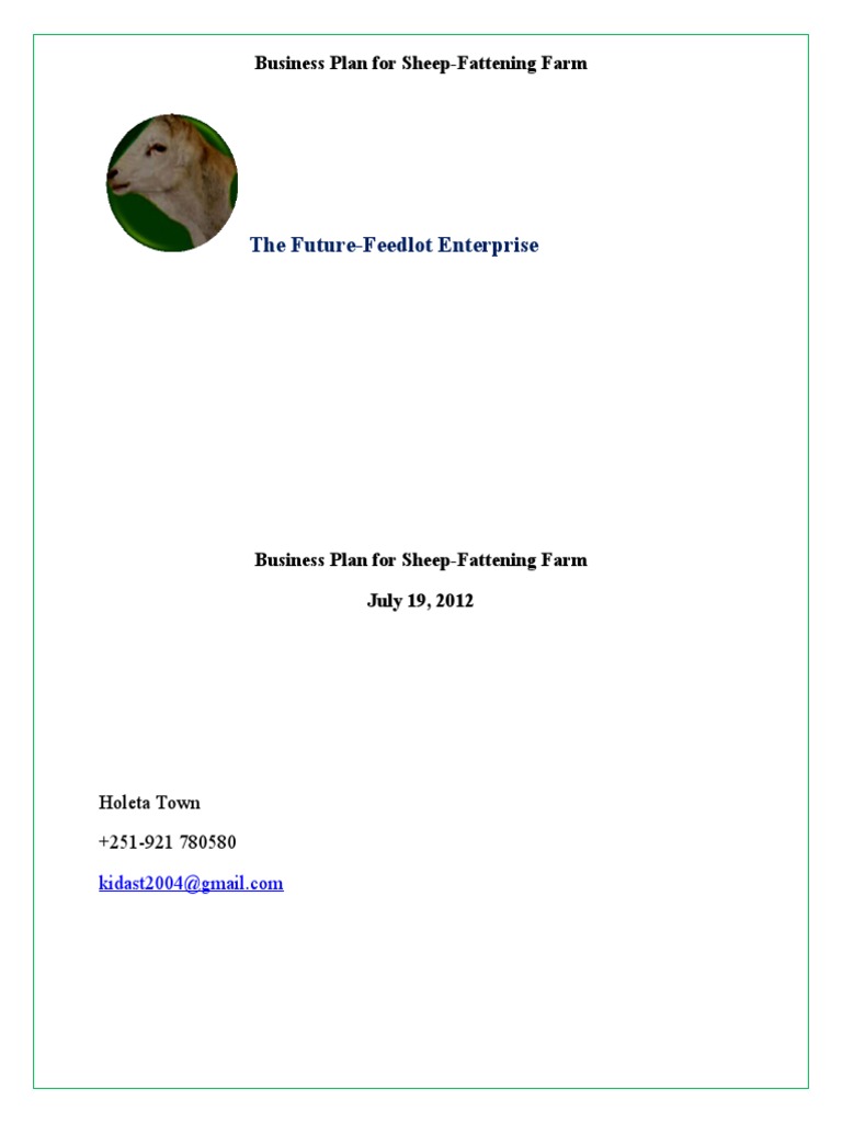 The Future-Feedlot Enterprise: Business Plan For Sheep-Fattening Farm ...