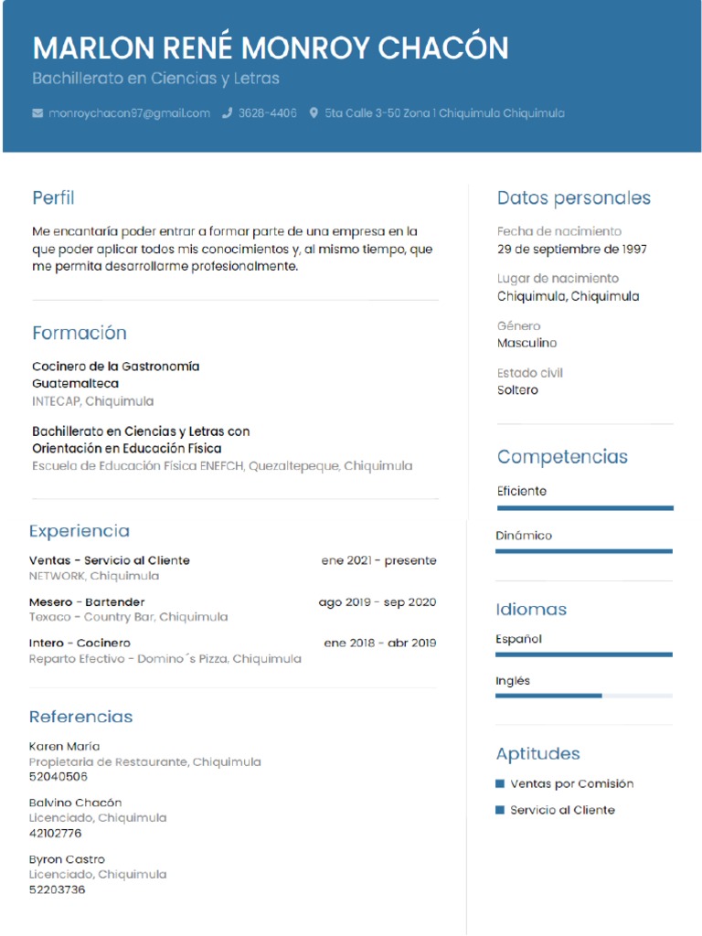 CV Marlon Monroy | PDF