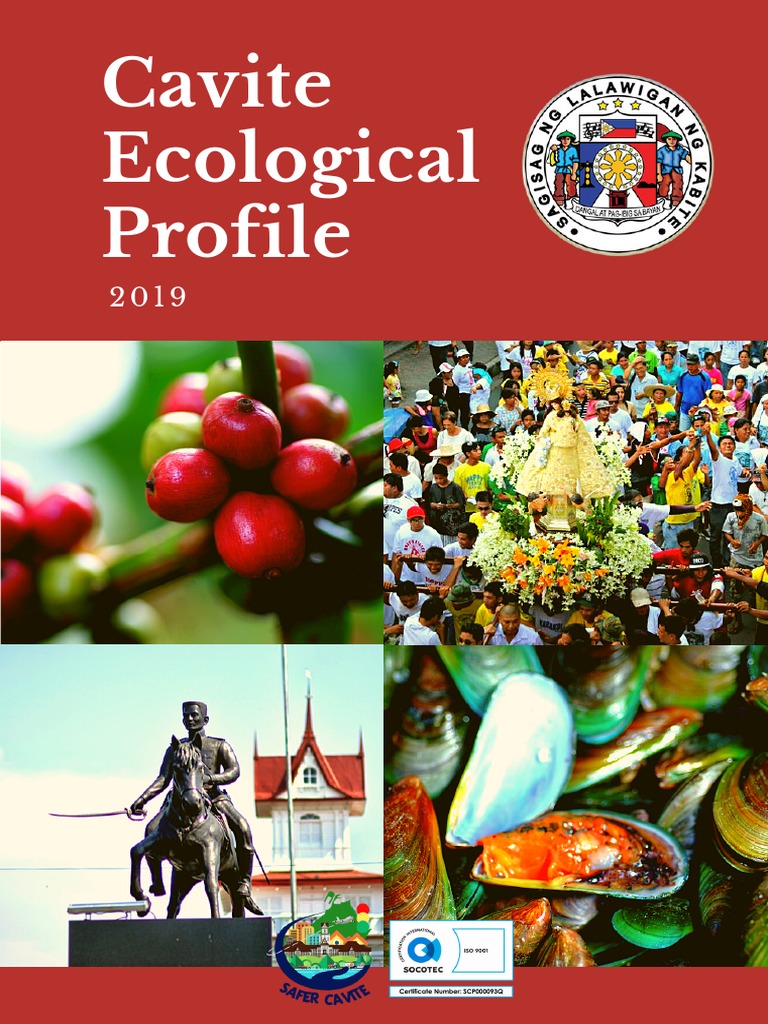 2019 Cavite Economic Profile | PDF