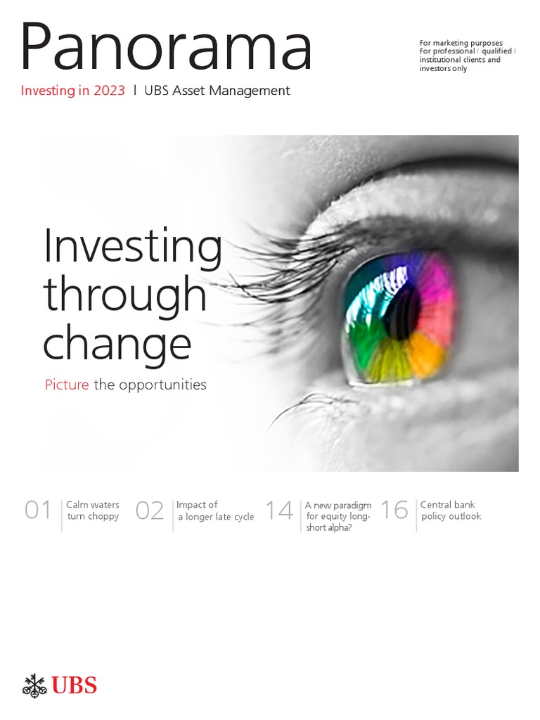 Panorama End Year 2022 | Download Free PDF | Asset Allocation ...