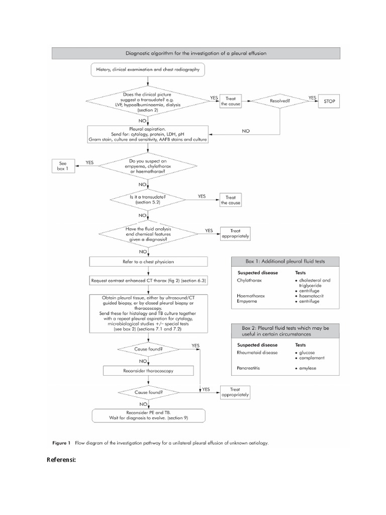 Diagnosis Dan Tatalaksana Efusi Pleura | PDF
