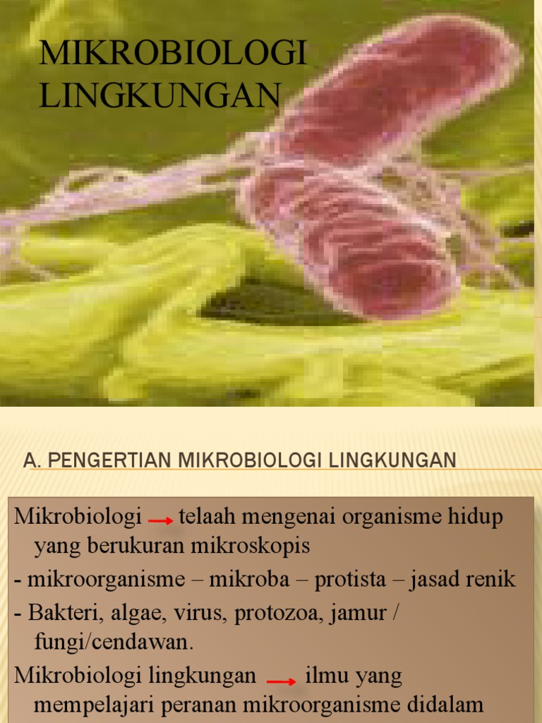 Mikrobiologi Lingkungan | PDF | Sains & Matematika