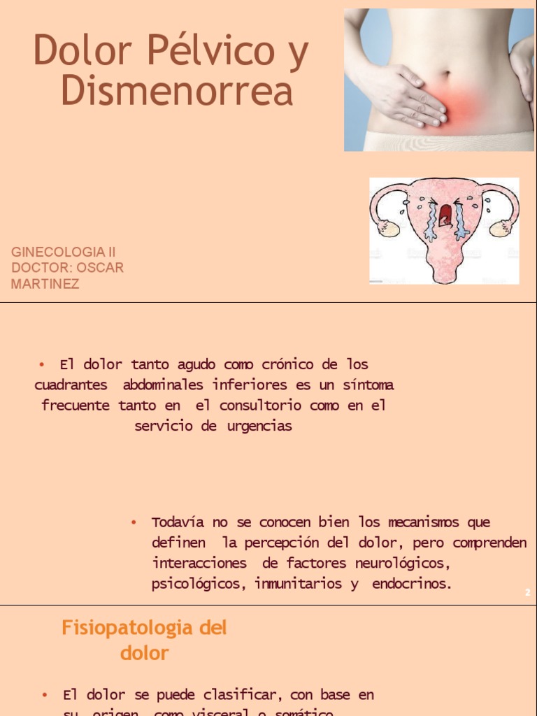 ¿Cómo Se Diagnostica El Dolor Pélvico – YZFTE