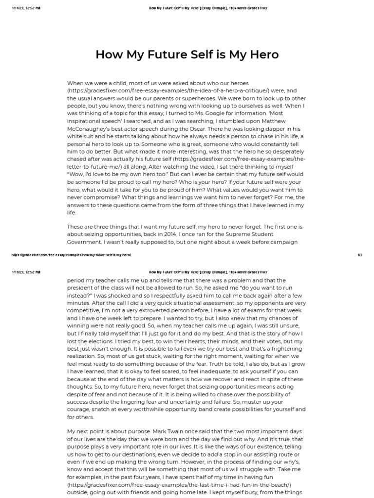 How My Future Self Is My Hero - (Essay Example), 1184 Words GradesFixer ...
