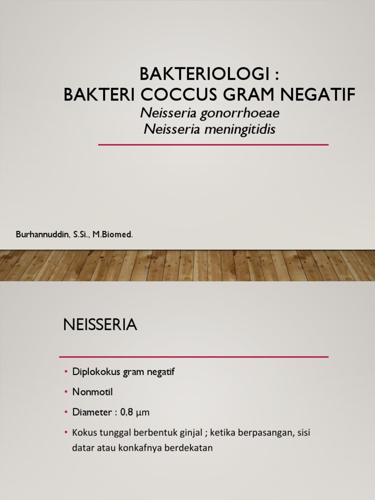 Bakteri Coccus Gram Negatif | PDF
