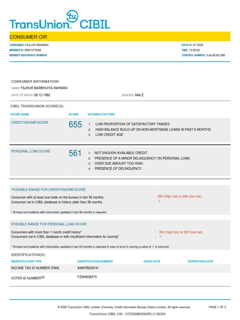 Cibil Report | PDF | Credit | Finance & Money Management