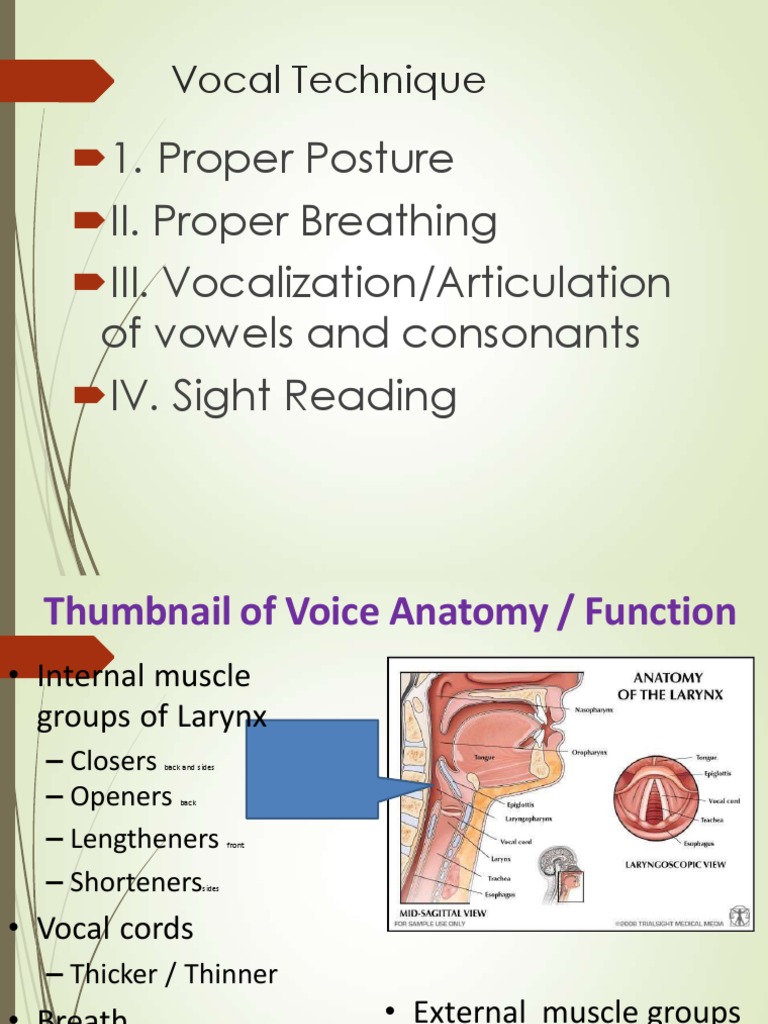 Vocal Technique Training For Choir Members (PDFDrive) | PDF | Singing ...