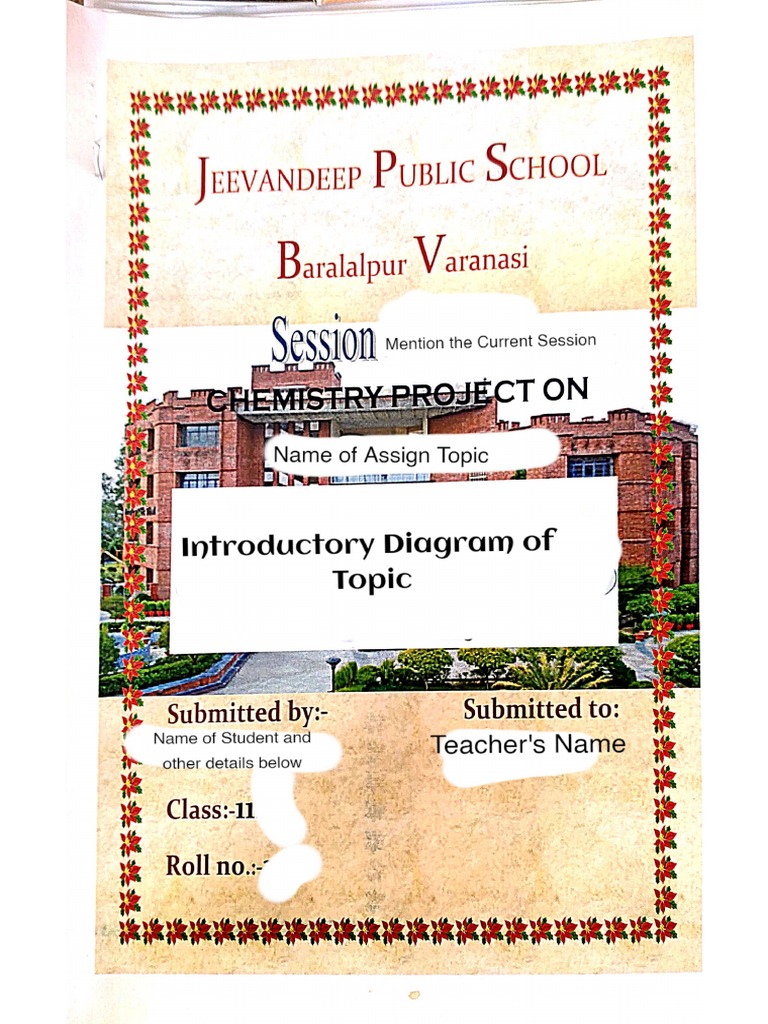 Formate of Project File Intro. Pages | PDF