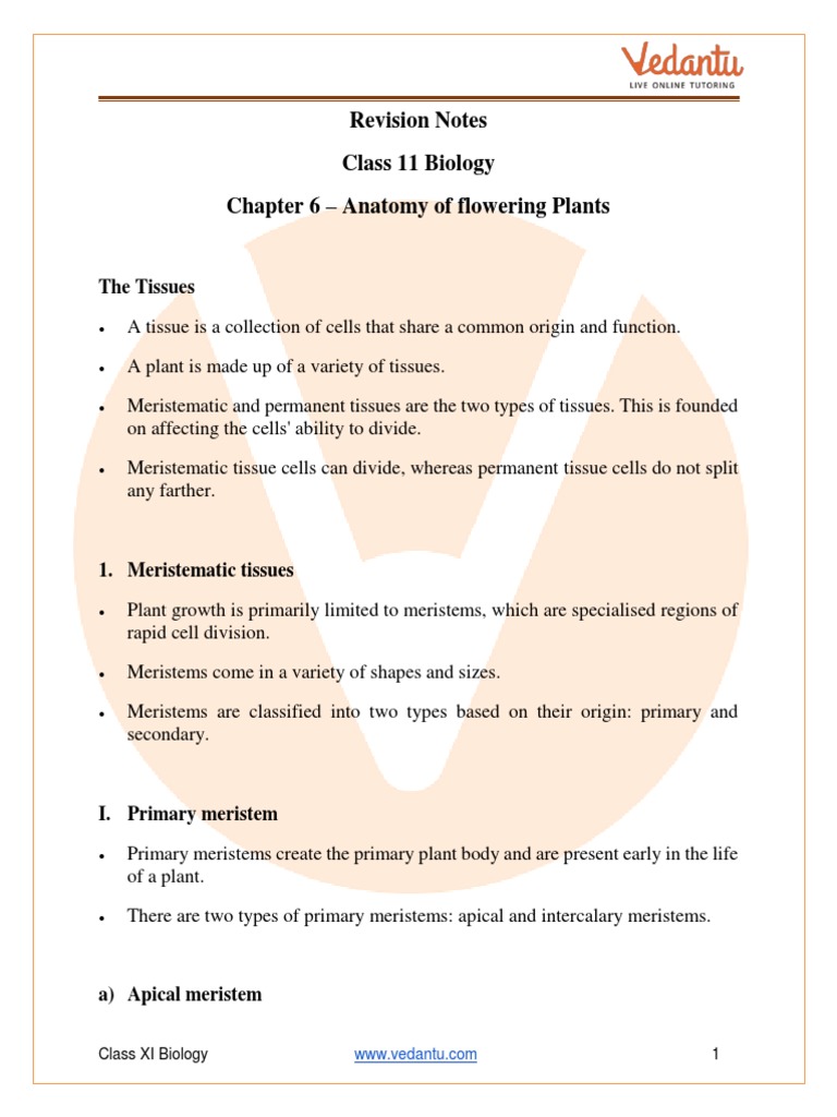 Anatomy of Flowering Plants Revision Notes For Class 11 Biology CH 6 ...