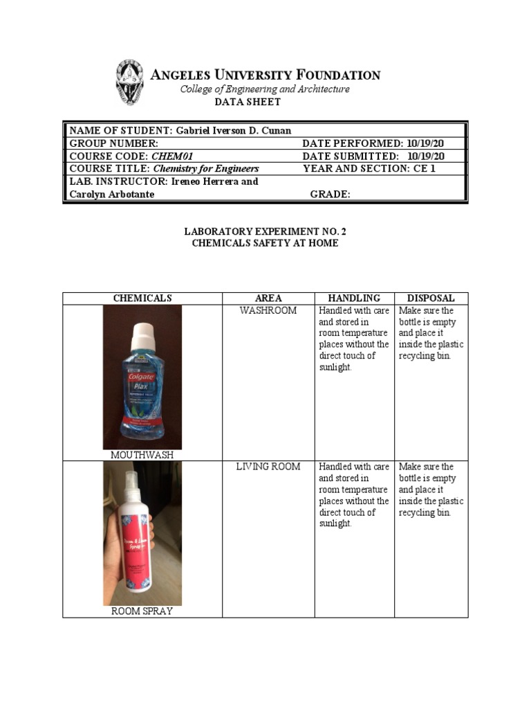 Activity 2 Data Sheet - Chemicals Safety at Home | PDF | Laboratories ...