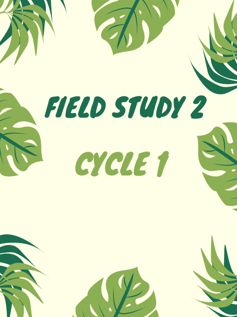 My Portfolio in Field Study 2 Cycle 1 | PDF | Lesson Plan | Teachers