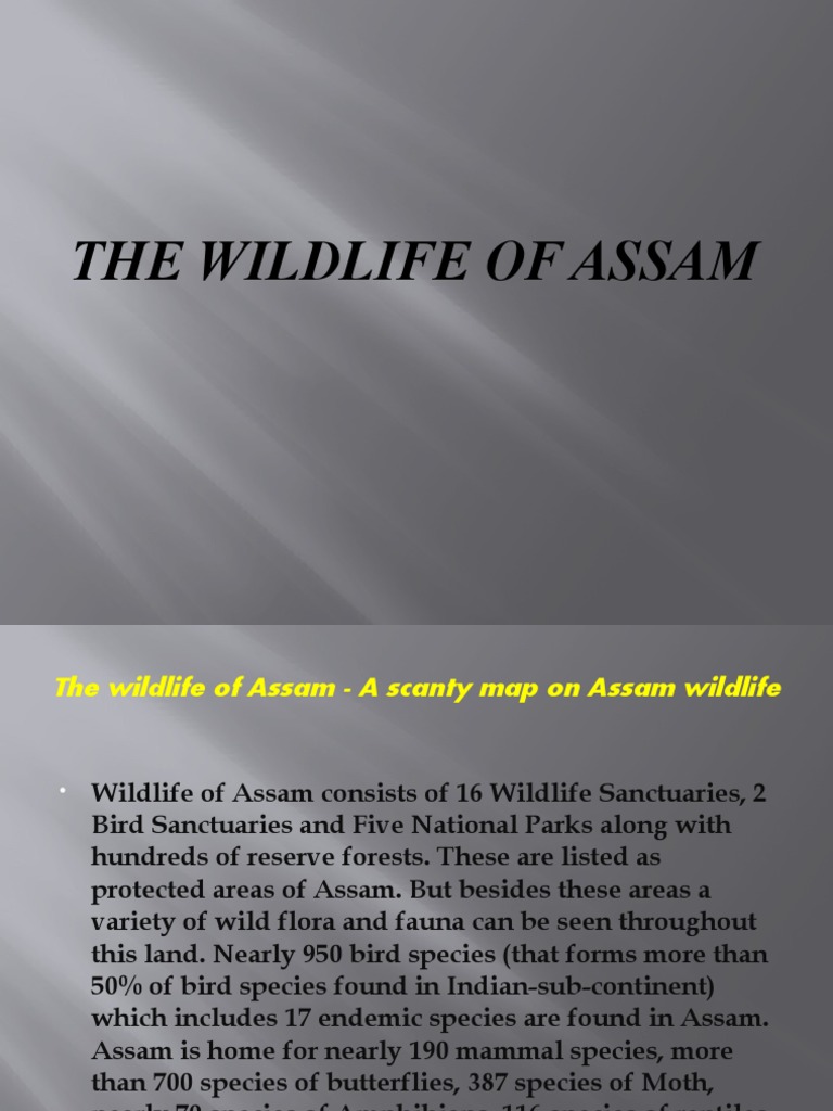 The Wildlife of Assam | PDF | Organisms