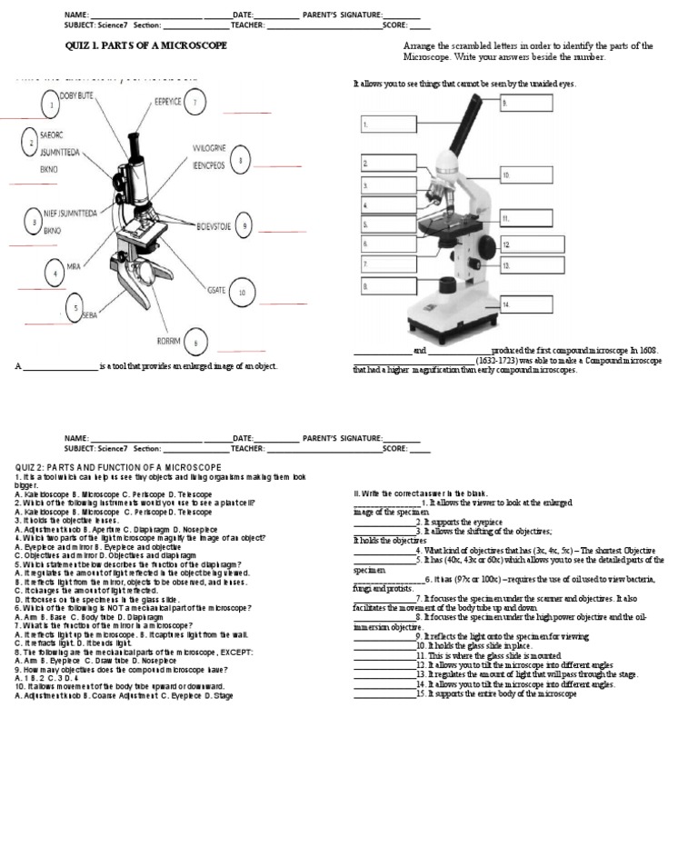 ACTIVITY 1 Microscope | Download Free PDF | Microscope | Microscopy