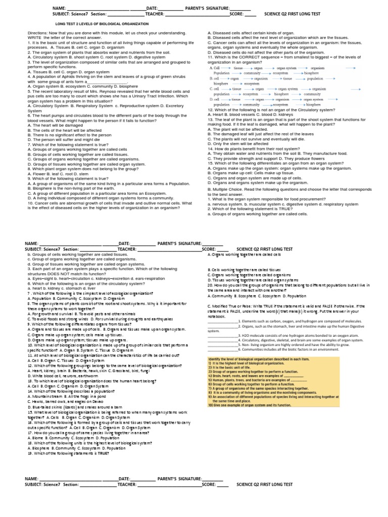 Grade 7 Biological Organization Test | PDF | Biology | Tissue (Biology)