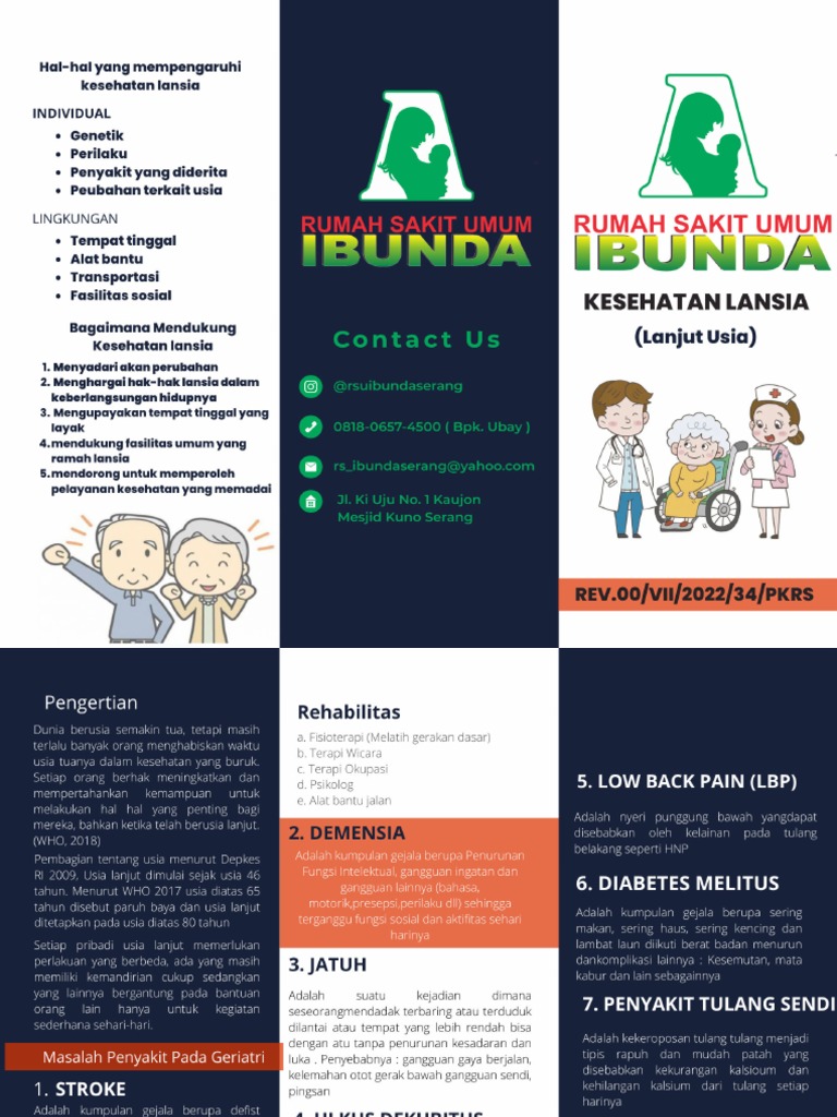 Leaflet - Kesehatan Lansia | PDF
