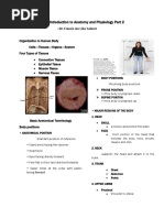 Body Cavities, Regions and Quadrants | PDF | Abdomen | Anatomy