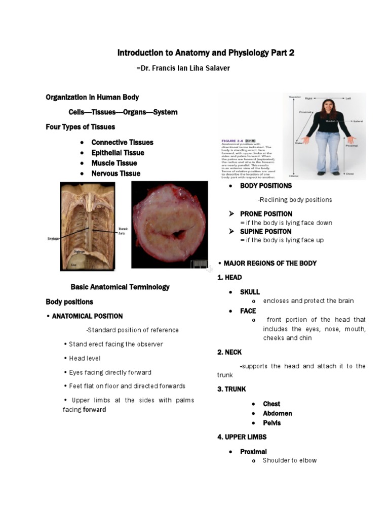Introduction To Anatomy And Physiology Part 2 Pdf Anatomical Terms