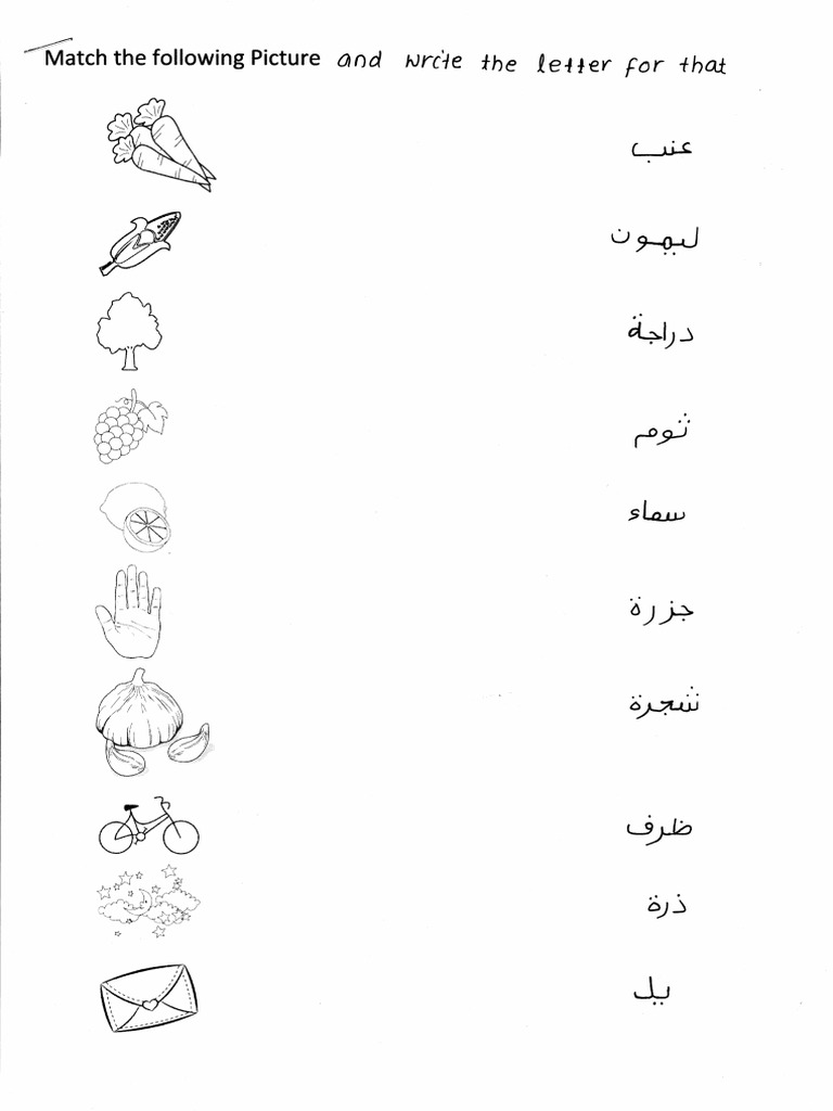 Match The Following - Arabic | PDF