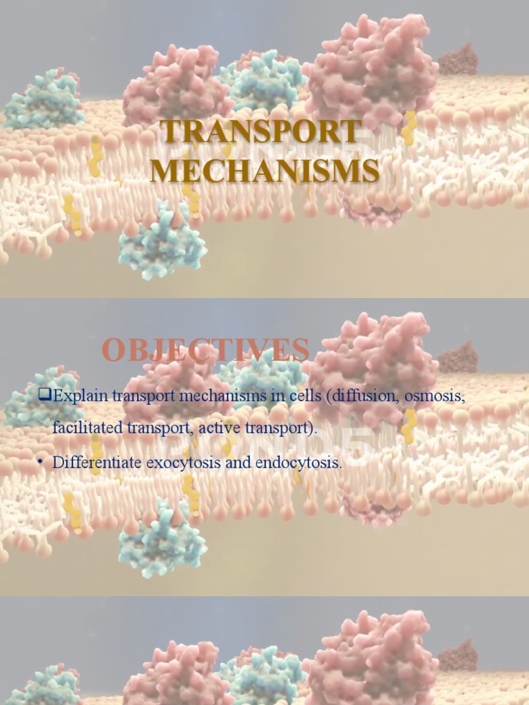 2 5 Transport Mechanism | PDF | Cell Membrane | Osmosis