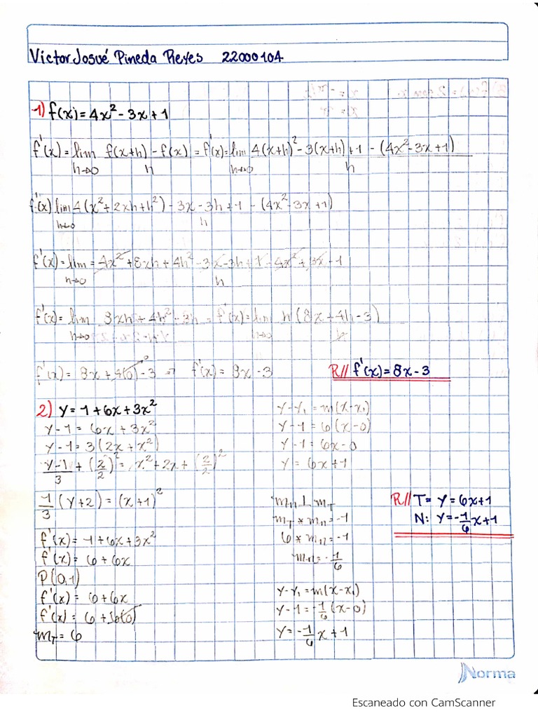 Hoja de Trabajo 1 Victor Josue Pineda Reyes 22000104 | PDF