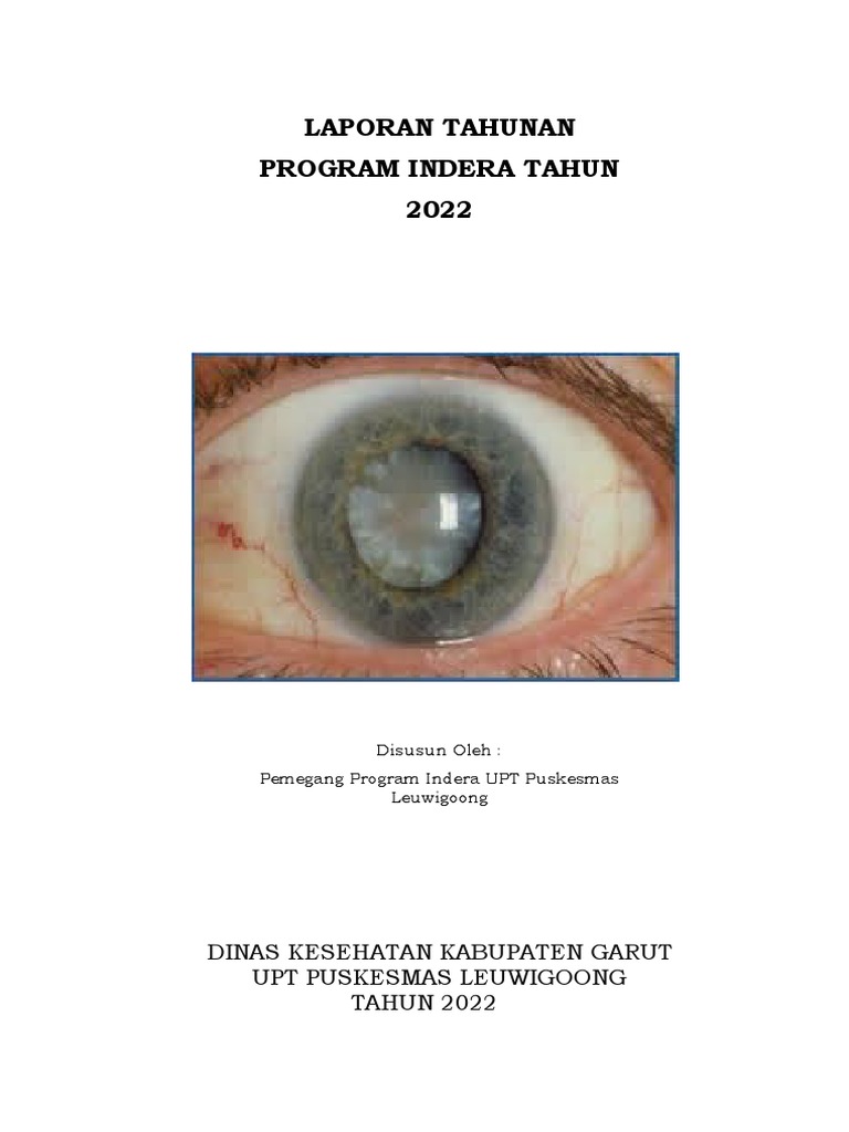 Laporan Tahunan Program Indera Tahun 2022 | PDF | Ilmu Sosial