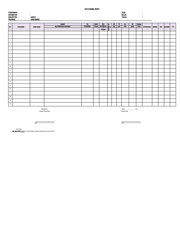 Format Rekap Bumil Resti | PDF