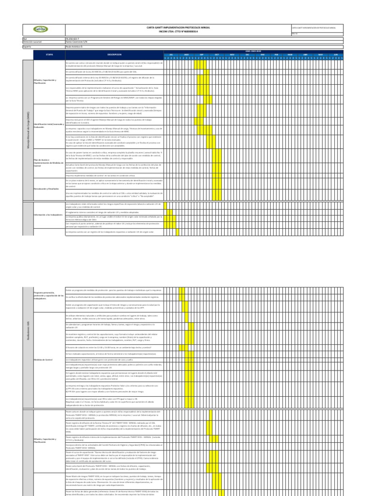 19.1. - Carta Gantt Implementacion Protocolos Minsal | PDF | Polvo | Evaluación