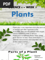 Ang Kalendaryo NG Pagtatanim NG Gulay | PDF