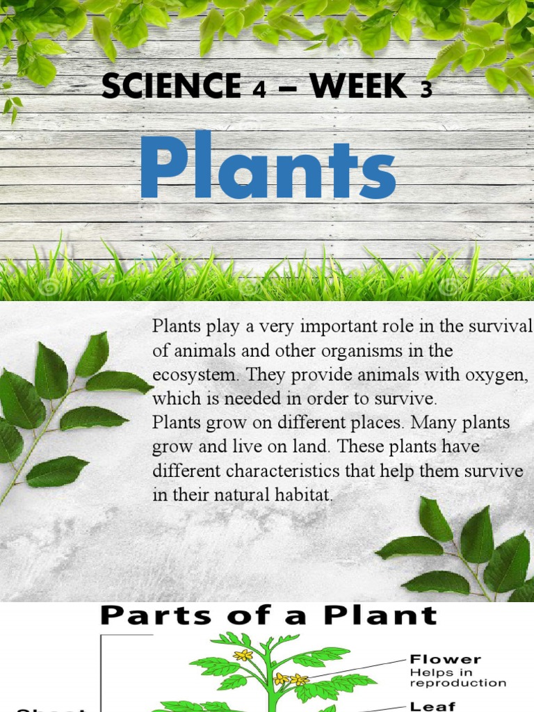 Science Q2 WK3 | PDF | Plants | Habitat