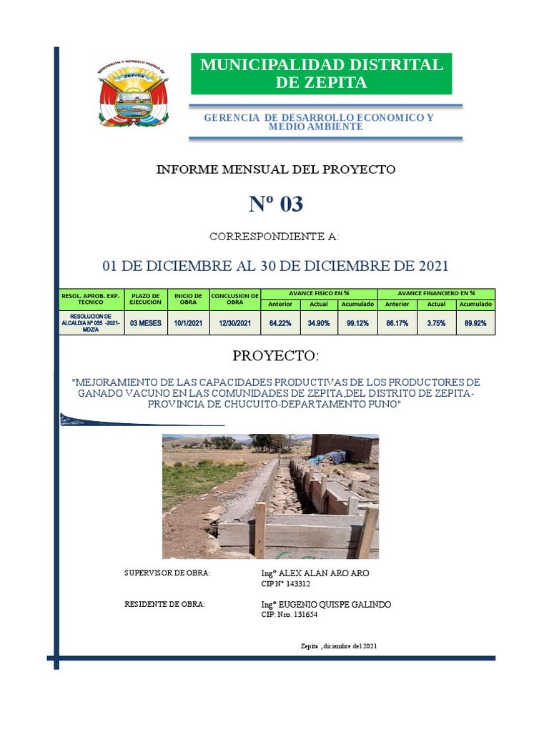 Informe Mensual Proyecto Zepita Diciembre 2021 | PDF | Fundación ...