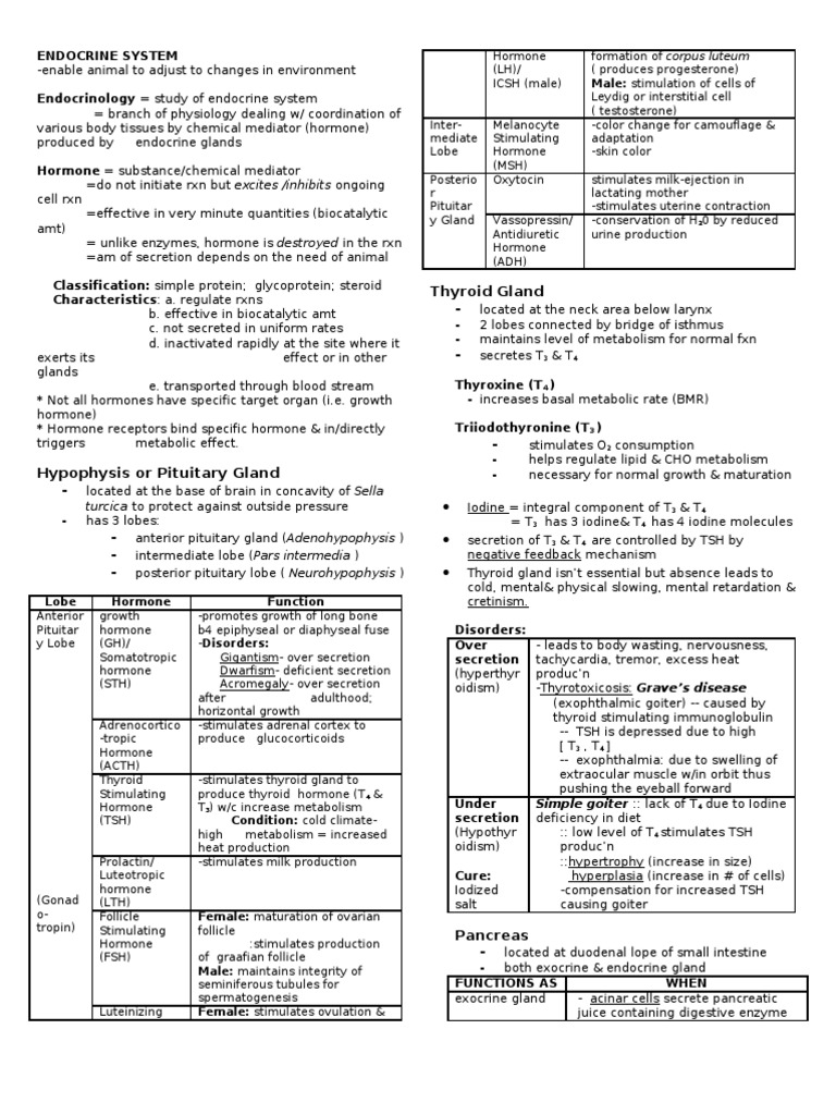 Endocrine System | PDF | Hormone | Adrenal Gland