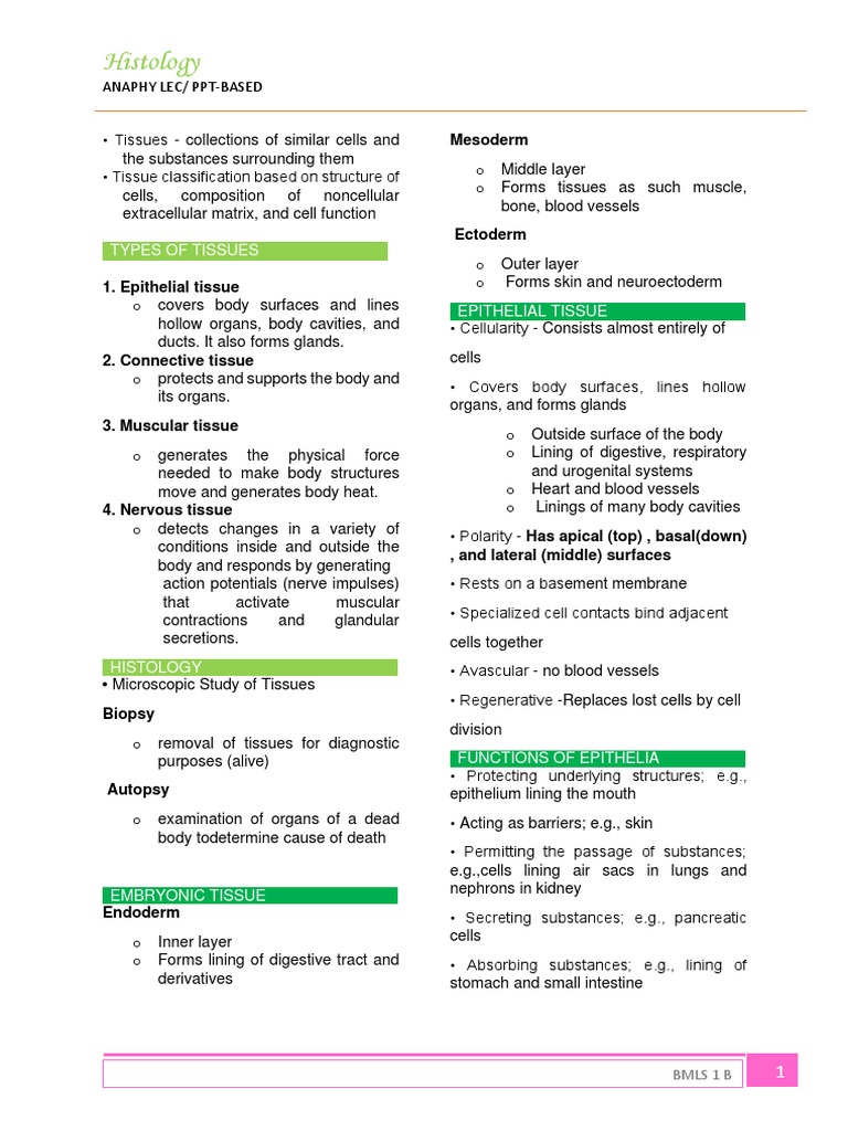 Transes Anaphy LEC (Activity 5 HISTOLOGY) | PDF | Epithelium | Tissue ...