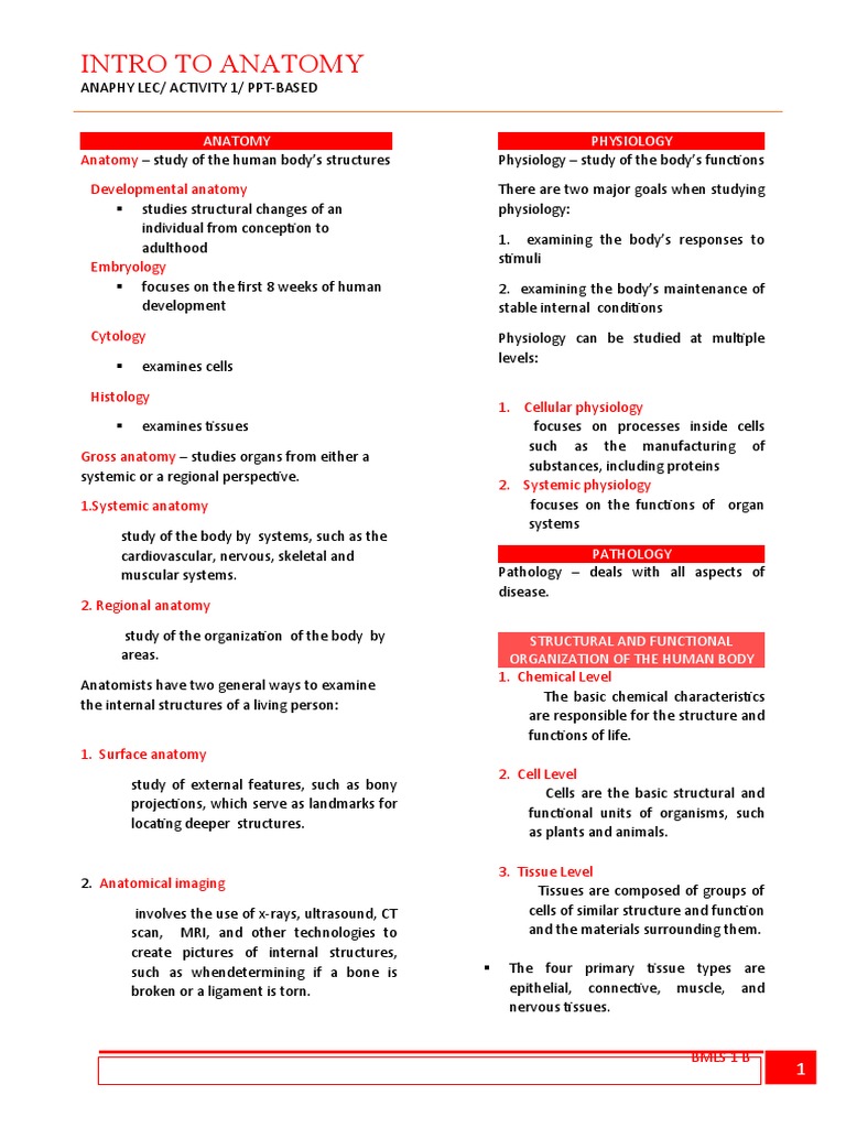 Transes Anaphy LEC (INTRO TO ANATOMY) | PDF | Human Body | Anatomy
