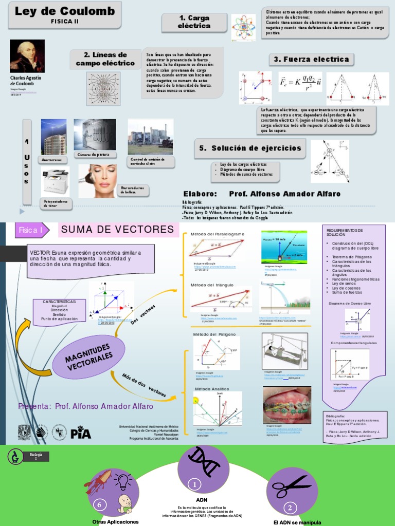 Infografía sobre la Ley de Coulomb | PDF | Sistema circulatorio | Evolución