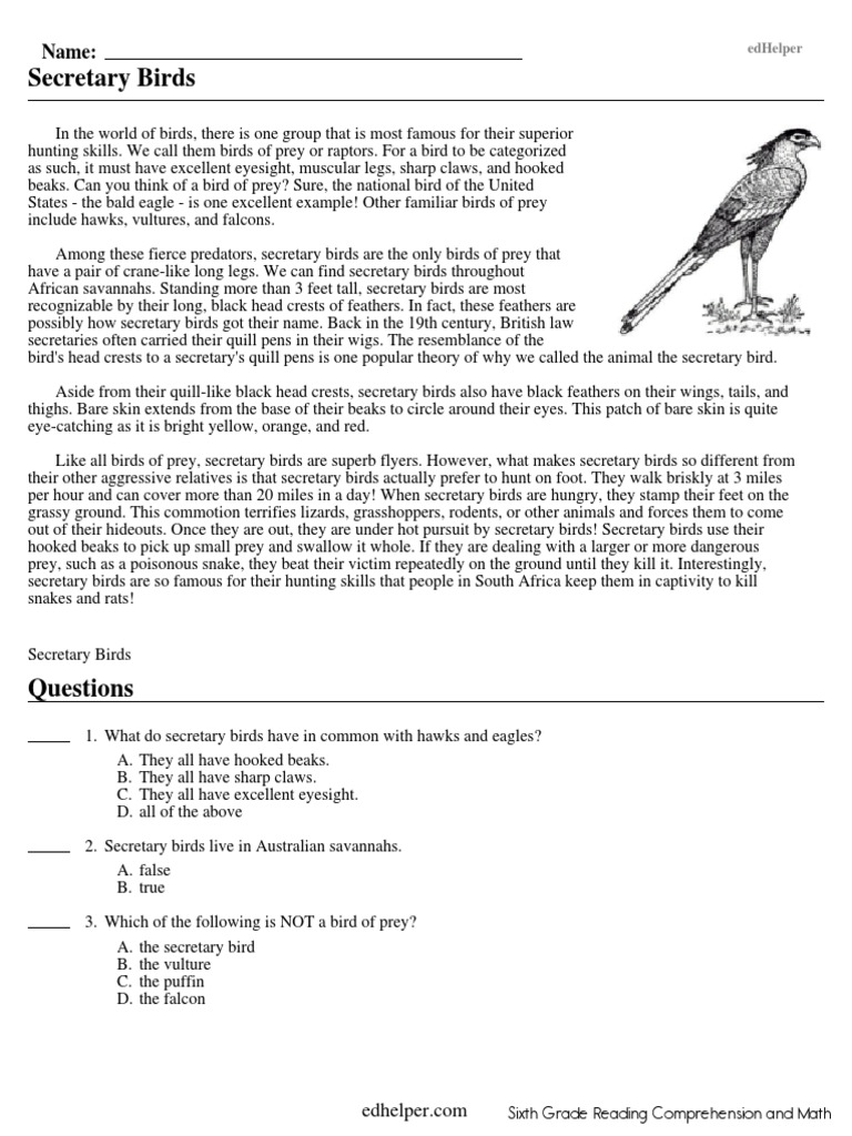 6th Grade Reading Comprehension Worksheets | PDF | Lakota People ...