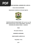 INSECTOS PLAGAS - Tara PDF | PDF | Lepidópteros | Mosca