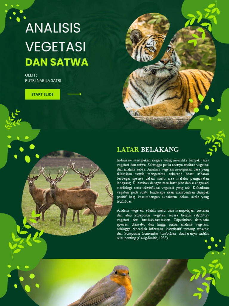 Analisis Vegetasi dan Satwa di Indonesia | PDF