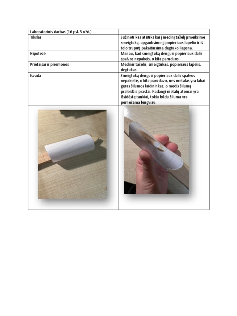 Laboratorinis Darbas | PDF