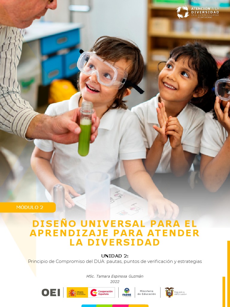 Unidad 2 Principio de Compromiso Del DUA Pautas, Puntos de Verificación ...