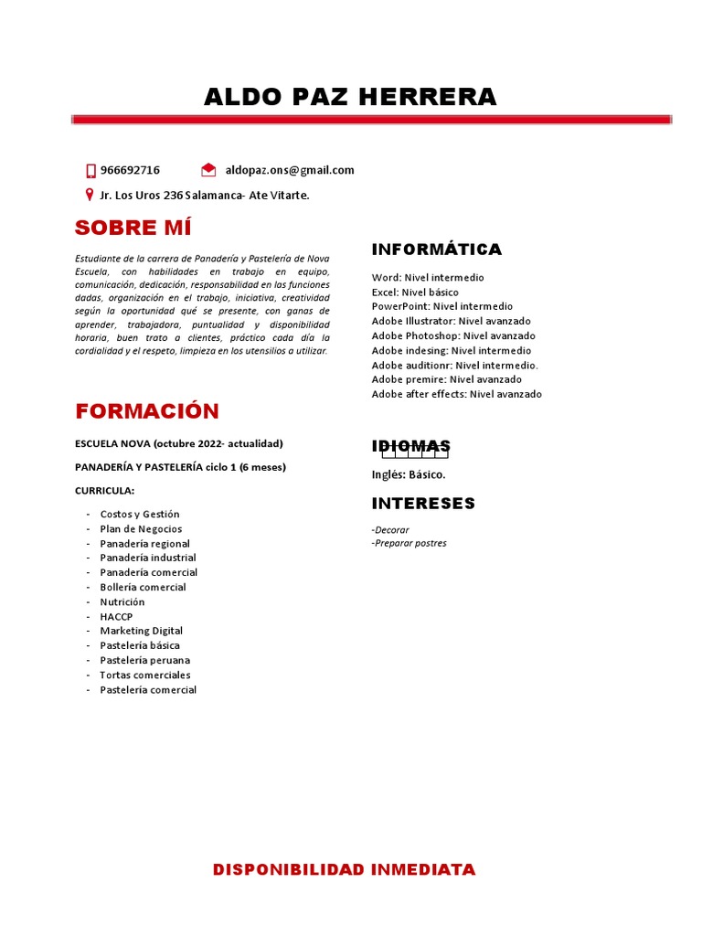 CV Aldo Paz Herrera - P25M 2022 | PDF