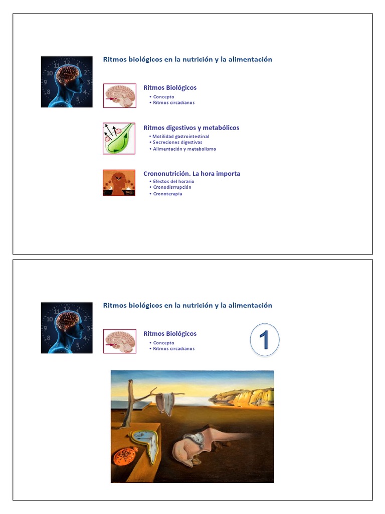 Ritmos Biológicos y Crononutrición | PDF | Ritmo circadiano | Insulina