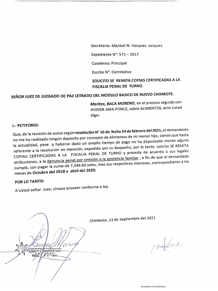 Solicito Remita Copiass | PDF